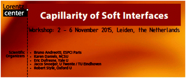 Solid capillarity: when and how does surface tension deform soft solids ...